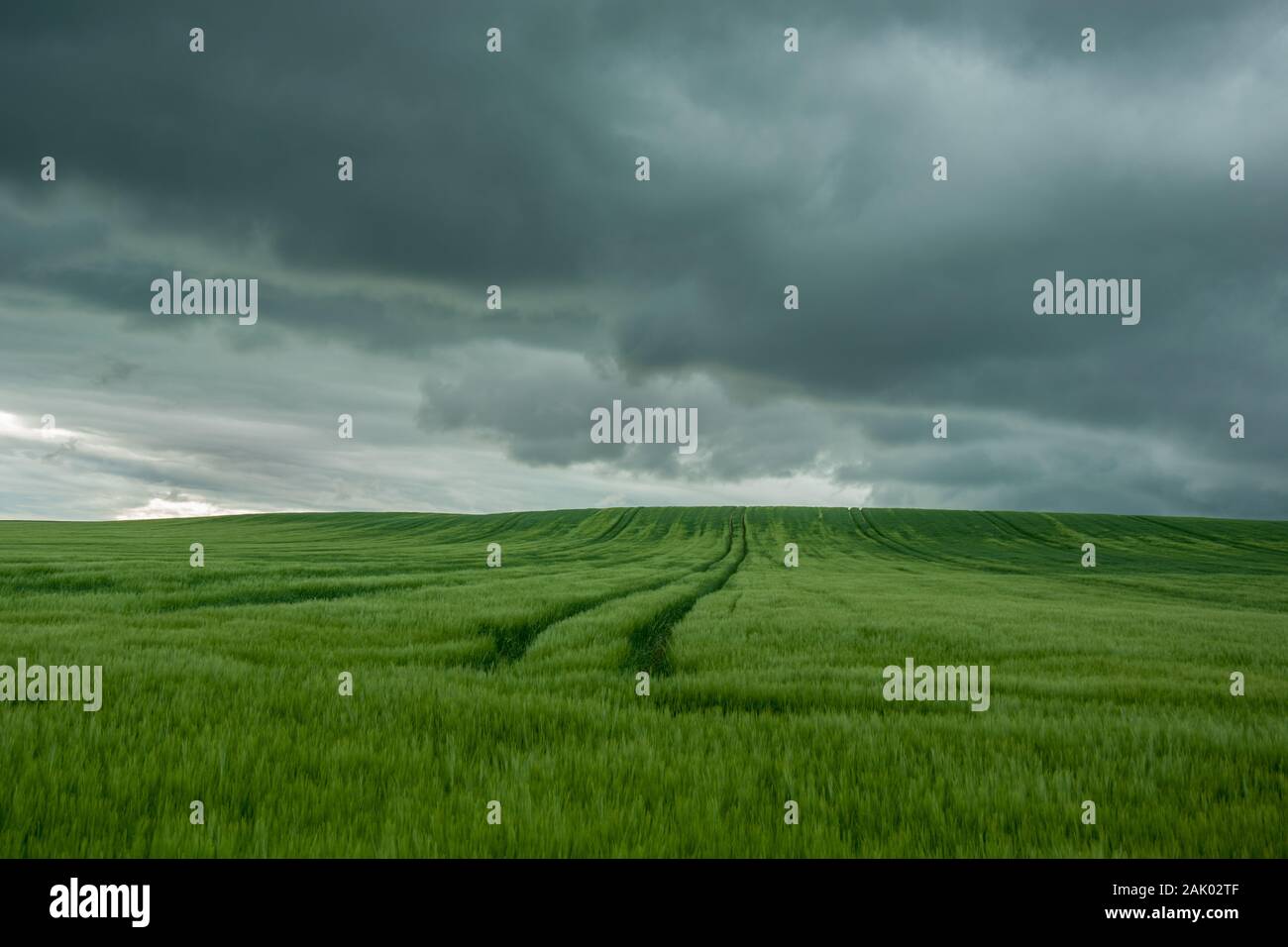 Big green field hi-res stock photography and images - Alamy