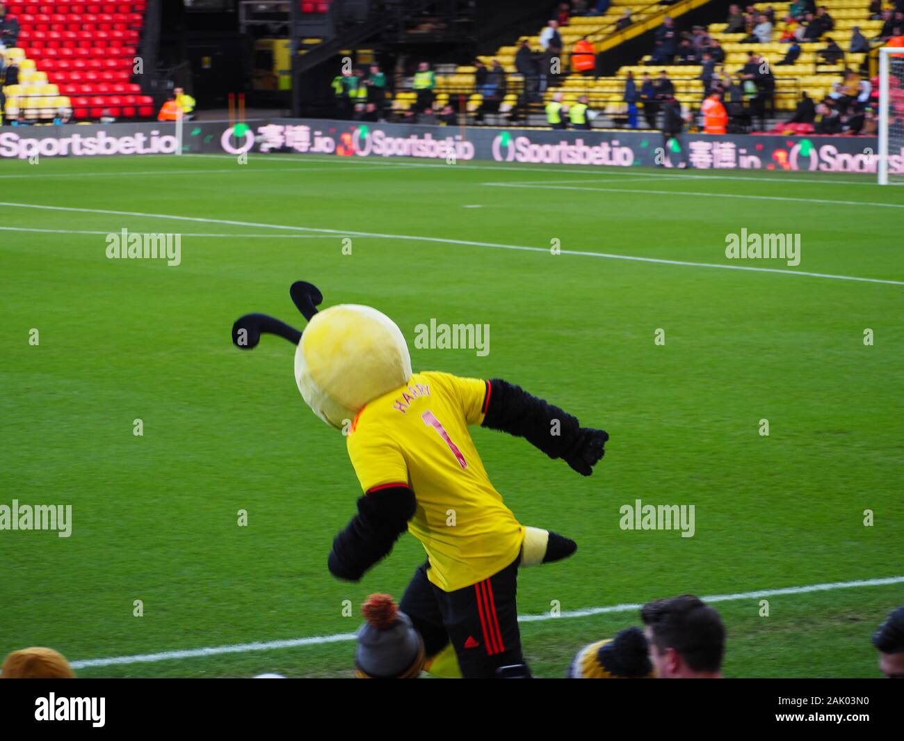 Watford mascot harry hornet hi-res stock photography and images - Alamy