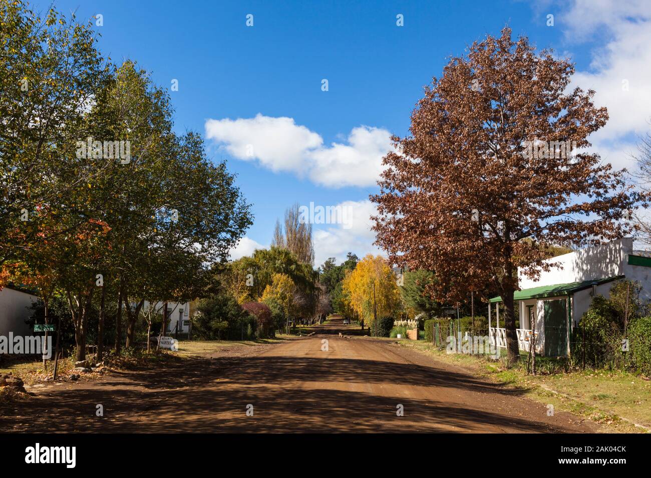 Autumn trees in Rhodes Stock Photo - Alamy