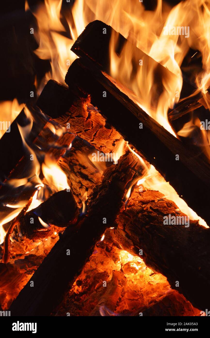 Fire - orange fire flames in the fireplace, burning wooden logs at ...