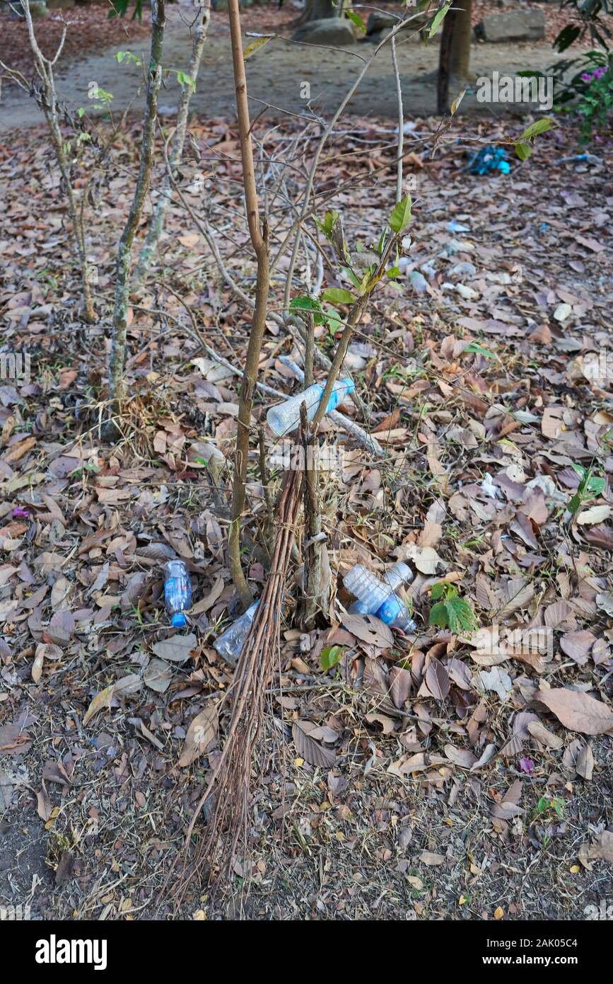 Plastic bottles thrown trash hi-res stock photography and images - Alamy