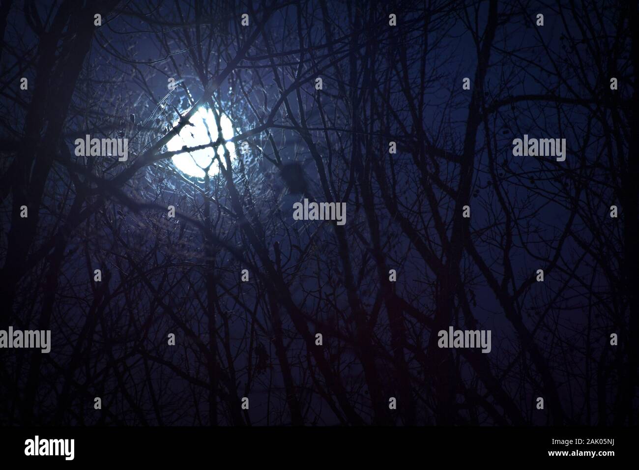 Moonrise Night Nighttime High Resolution Stock Photography and Images ...