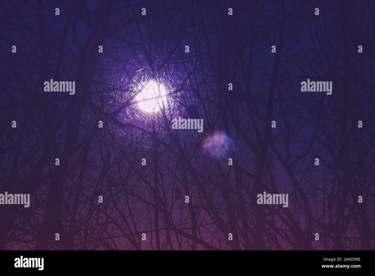 A scenic view through a winter forest canopy of a rising full moon ...