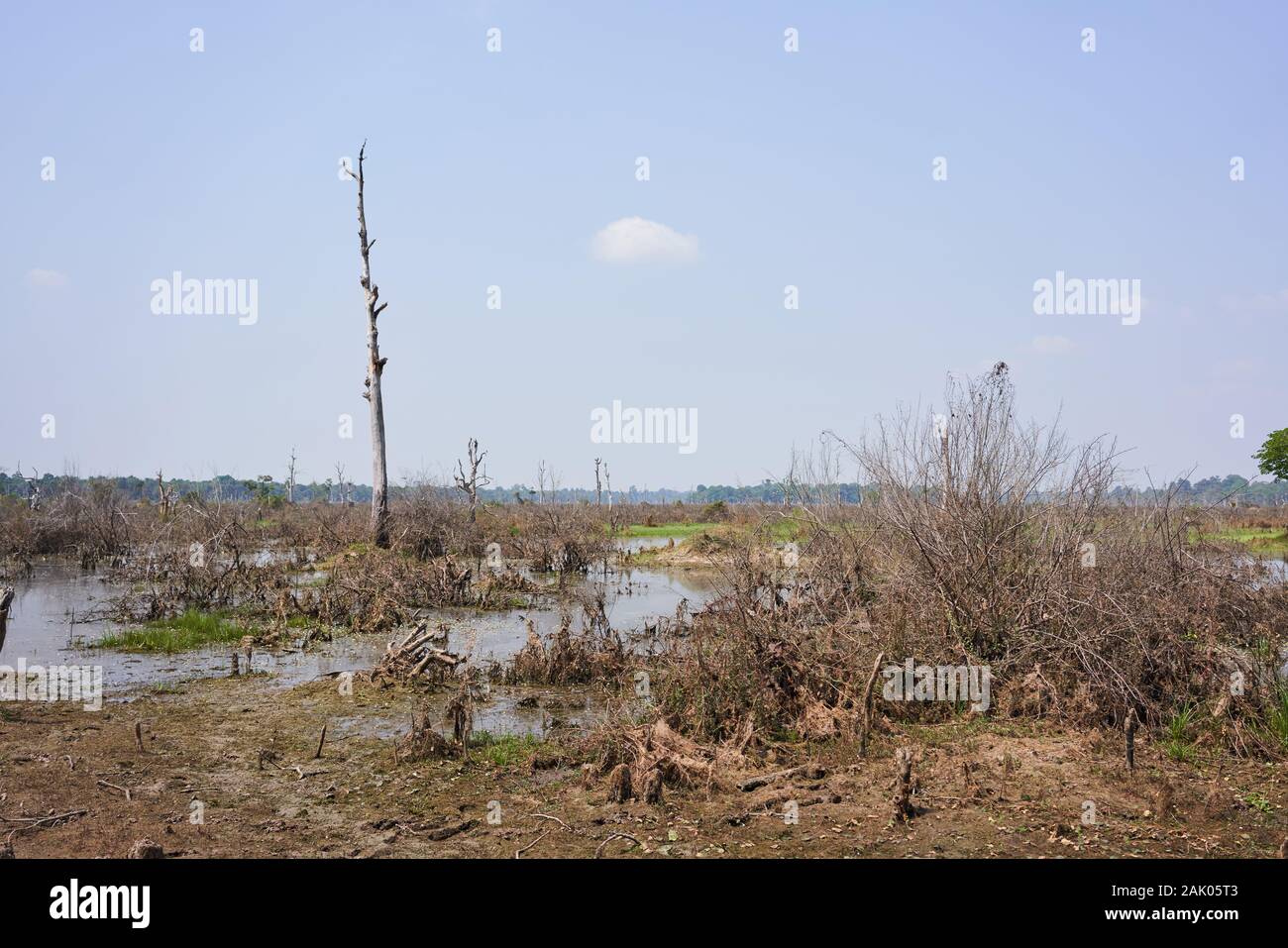 A baron landscape in the Angkor Wat complex Stock Photo - Alamy