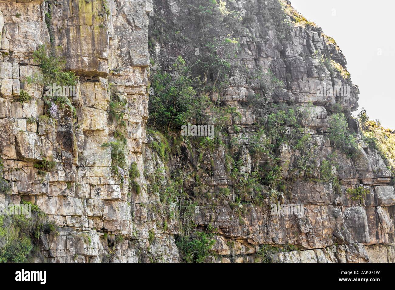Cliffs and rocks in the Table Mountain National Park in Cape Town in ...