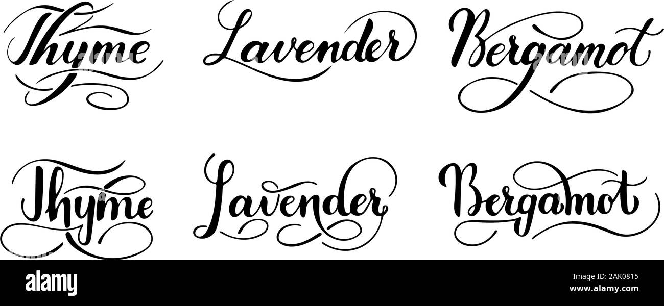 Vector hand written set of herbs isolated on white background. Kitchen ...