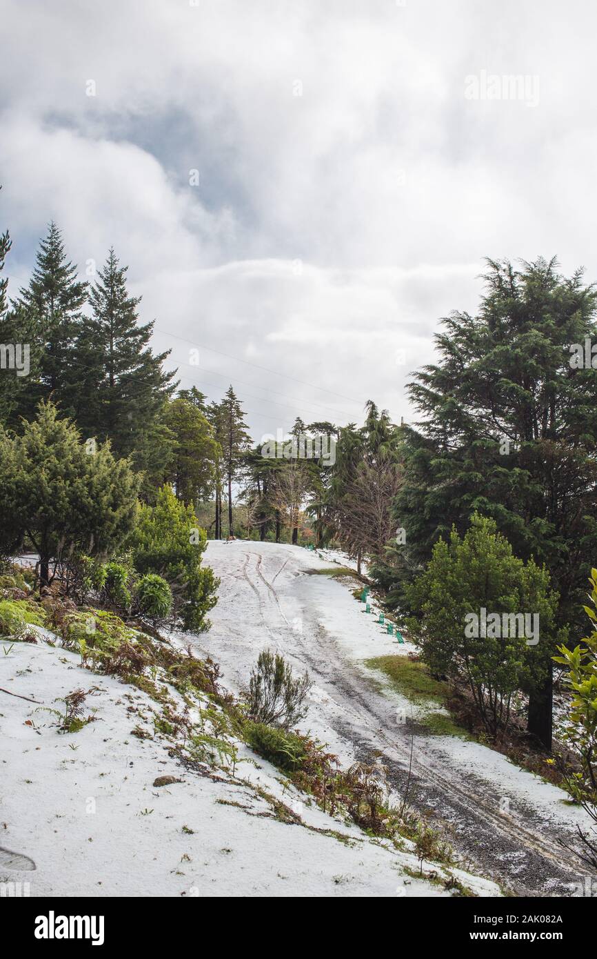 Weather madeira hi-res stock photography and images - Alamy