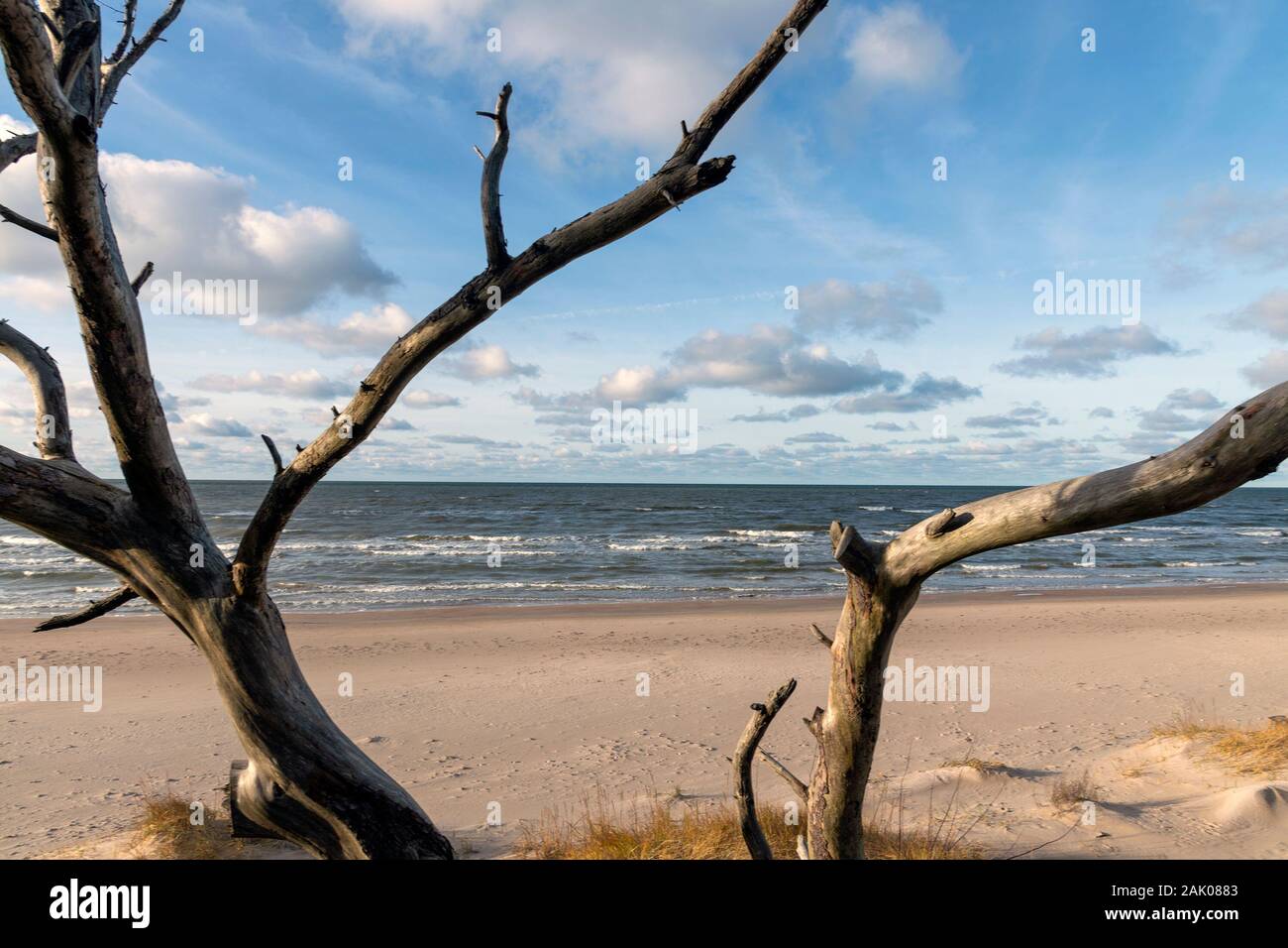 Baltic sea coast in warm winter day next to Bernati, Latvia Stock Photo ...