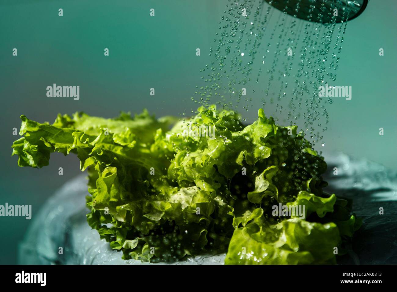Washing of lettuce salad under flowing water Stock Photo - Alamy