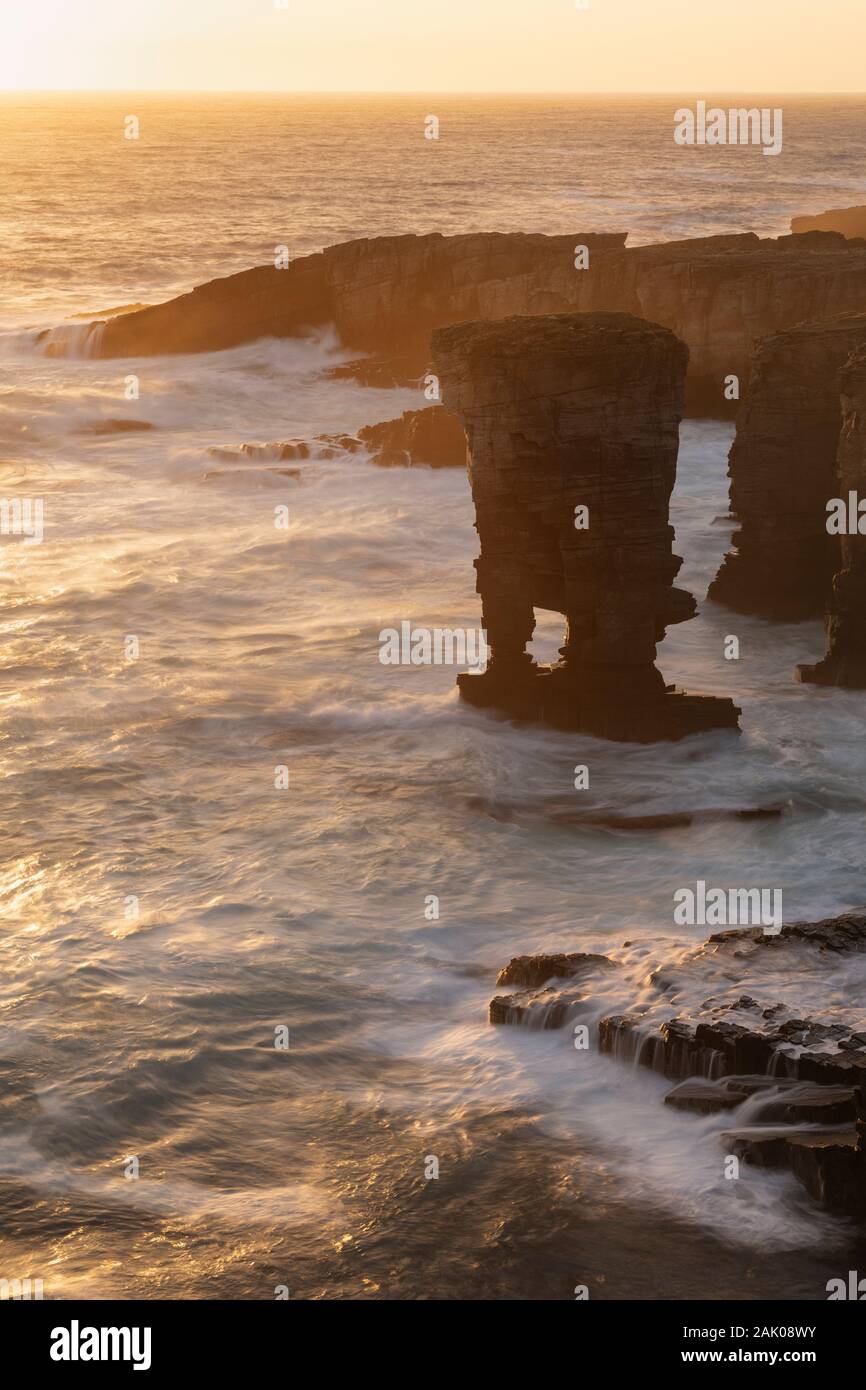 Yesnaby Castle sea stack and coastal cliffs, Orkney, Scotland Stock ...