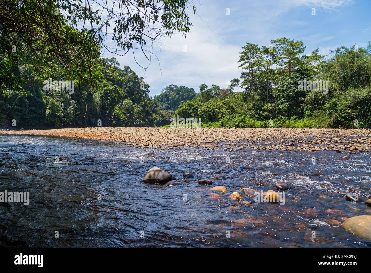 Temburong River, Virgin Rainforest, Ulu Temburong National Park, Brunei ...