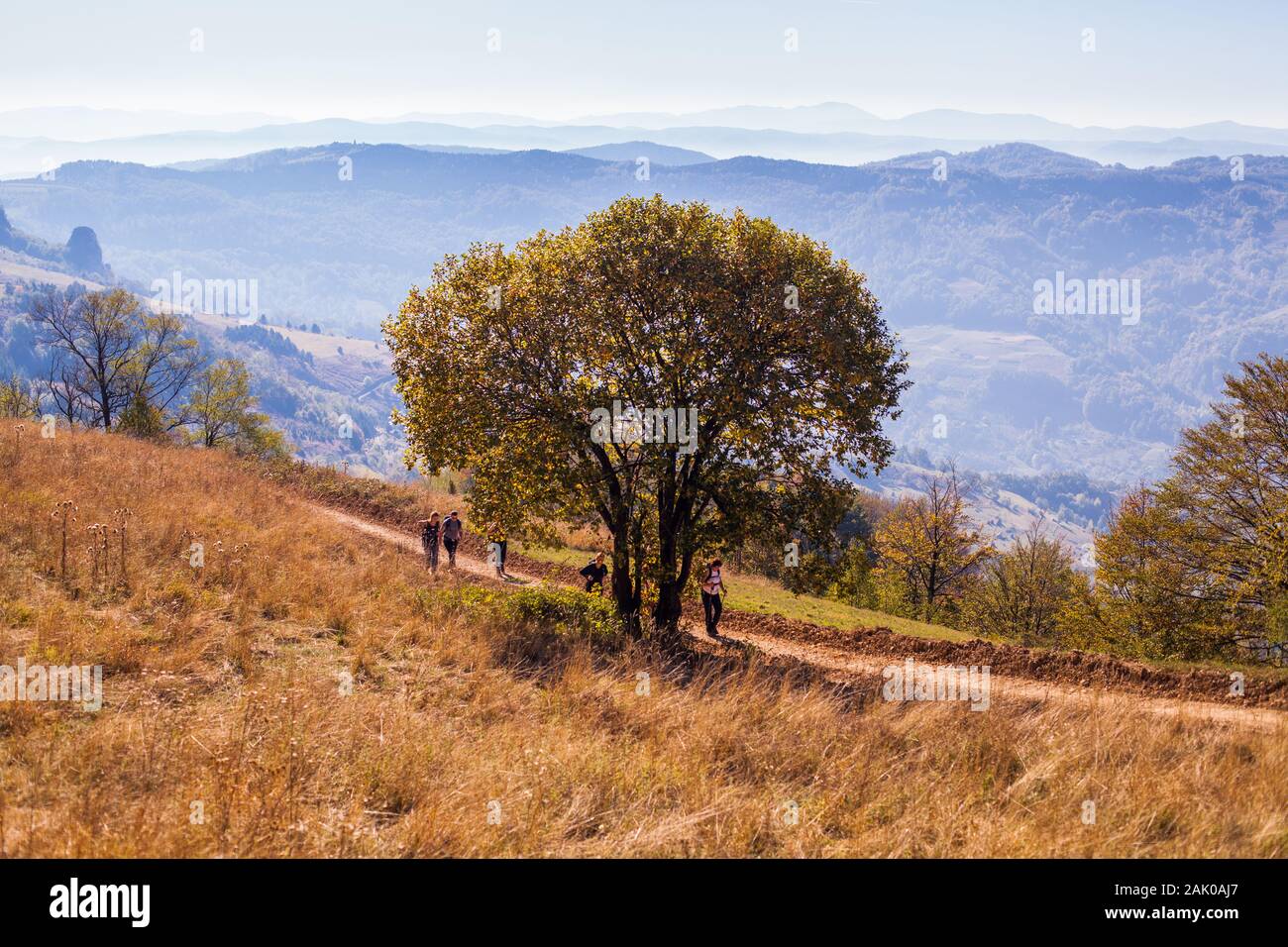 Group of active people walking on a rural road in an autumn day ...