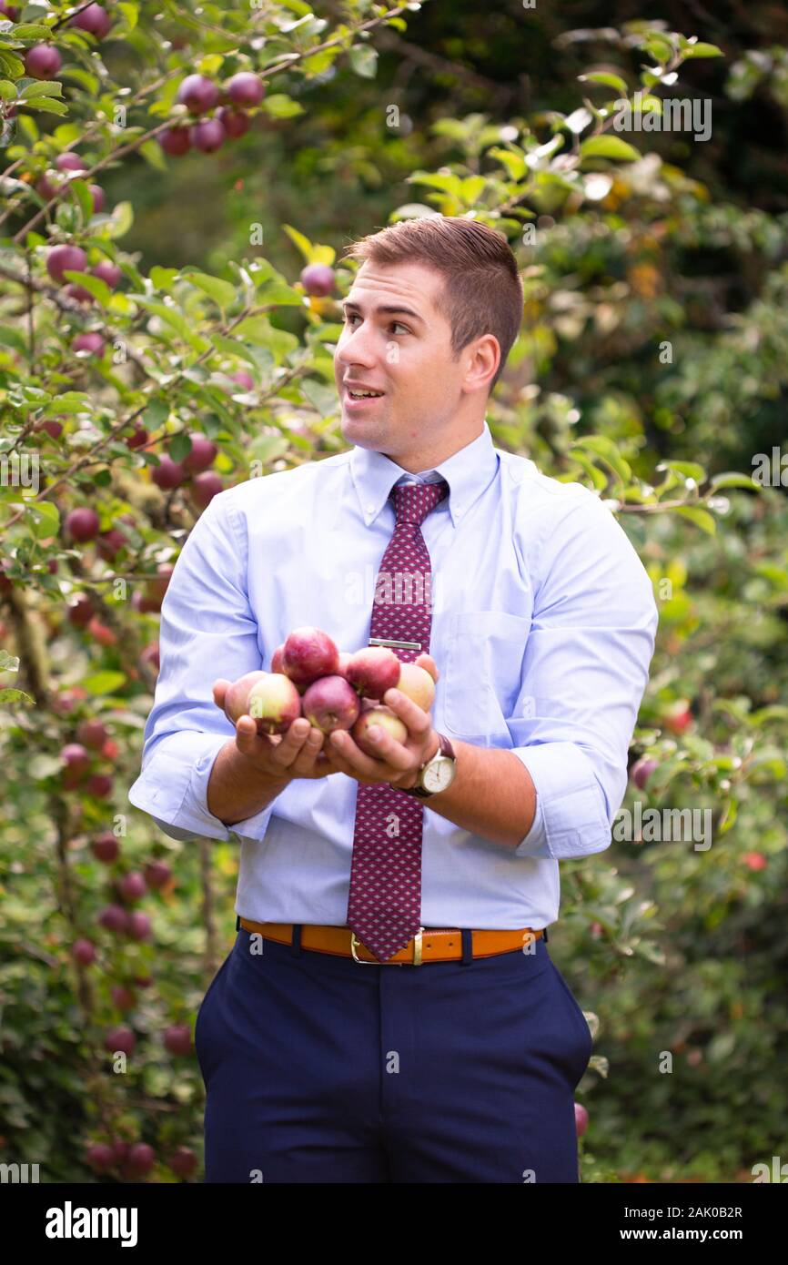 Washington apple trees hi-res stock photography and images - Alamy