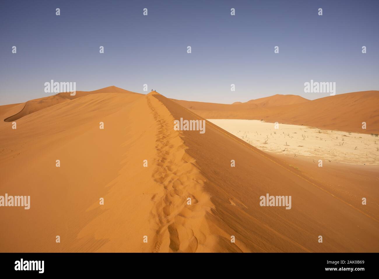 Top down pan hi-res stock photography and images - Alamy