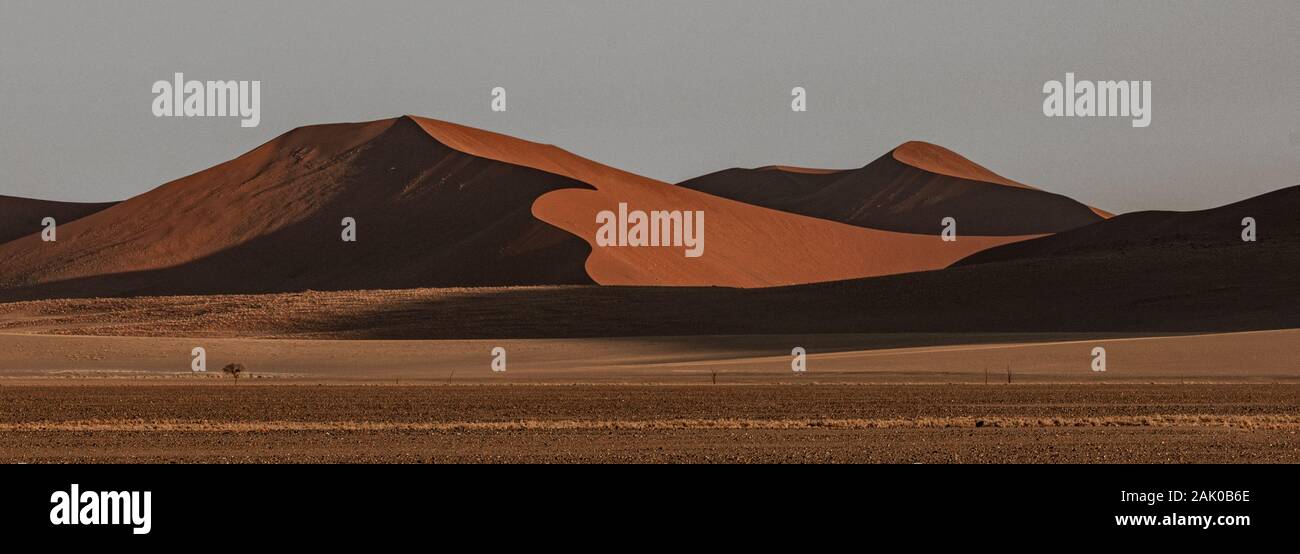 Namib sand hi-res stock photography and images - Alamy