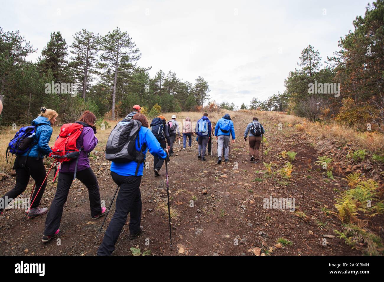 Group of active people walking on a rural road in an autumn day ...