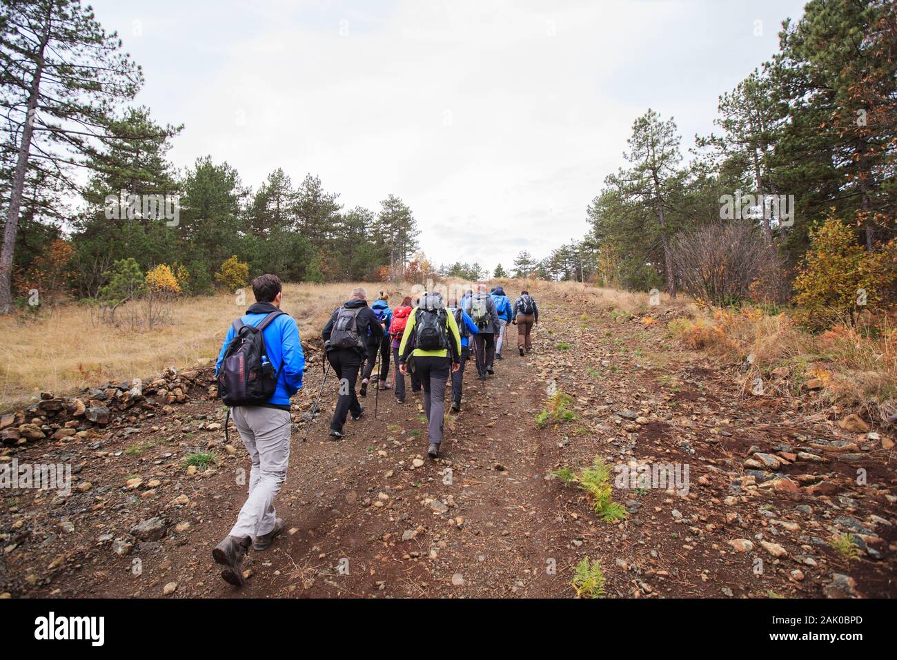 Group of active people walking on a rural road in an autumn day ...