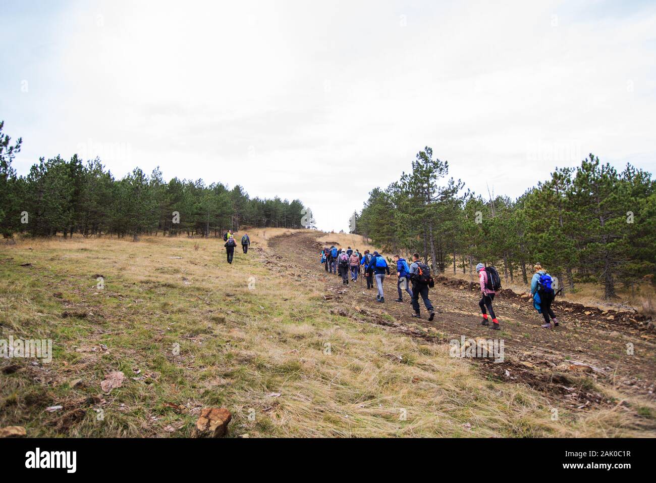 Group of active people walking on a rural road in an autumn day ...