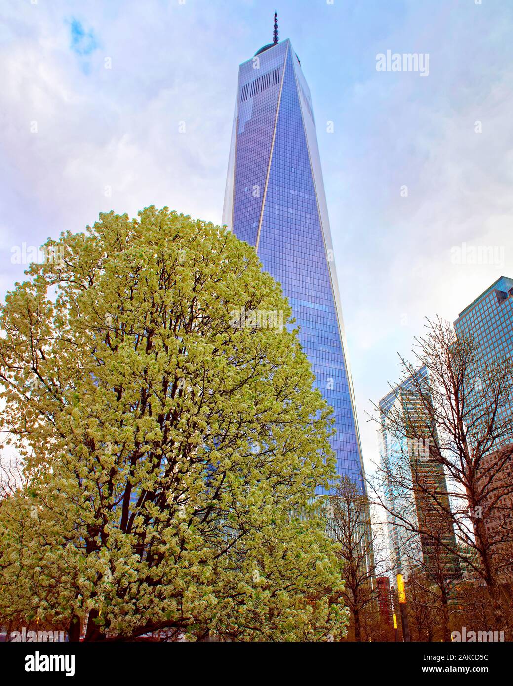 World Trade Center and Freedom Tower US reflex Stock Photo - Alamy