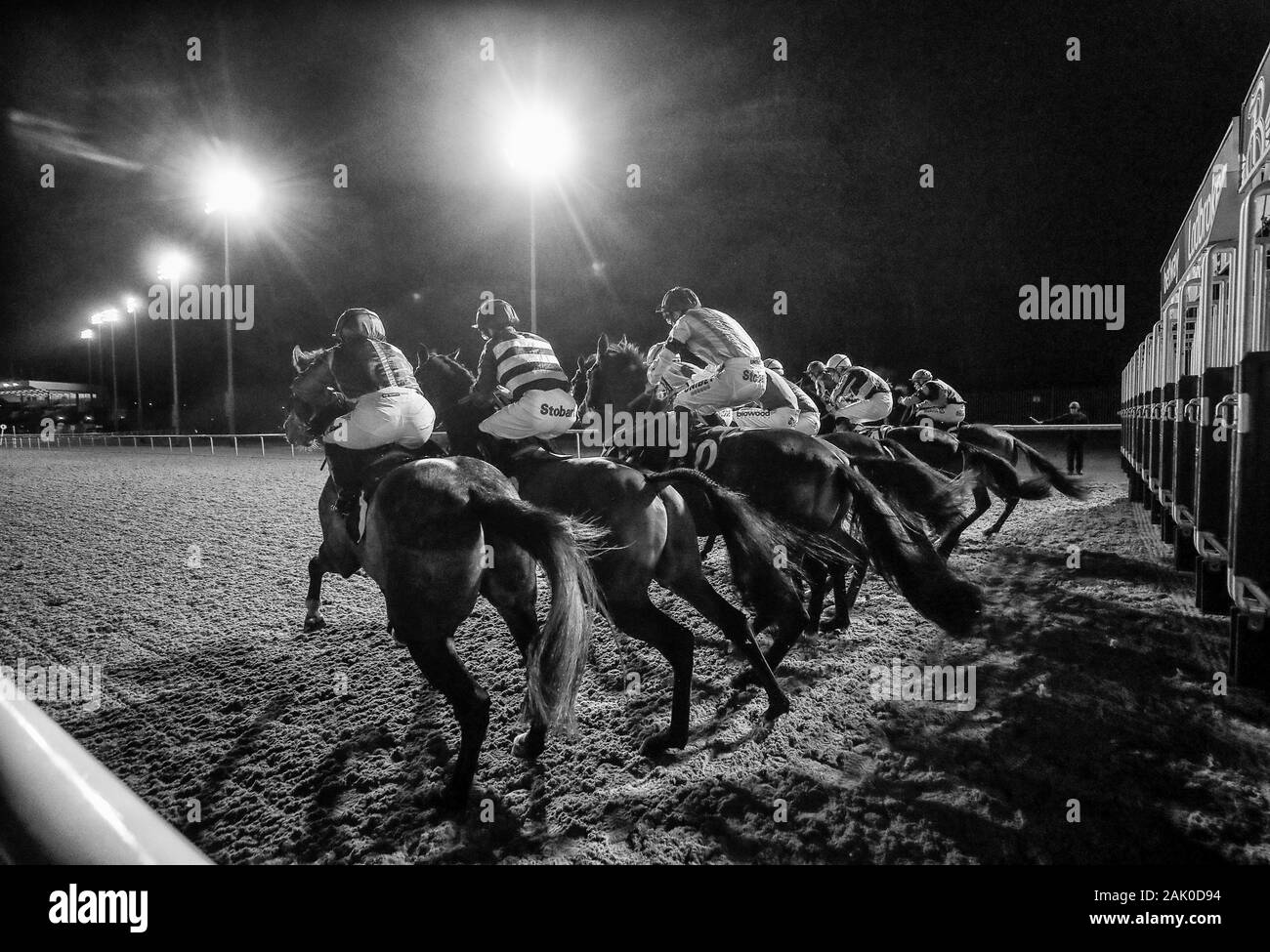 Horse racing races wolverhampton Black and White Stock Photos & Images ...