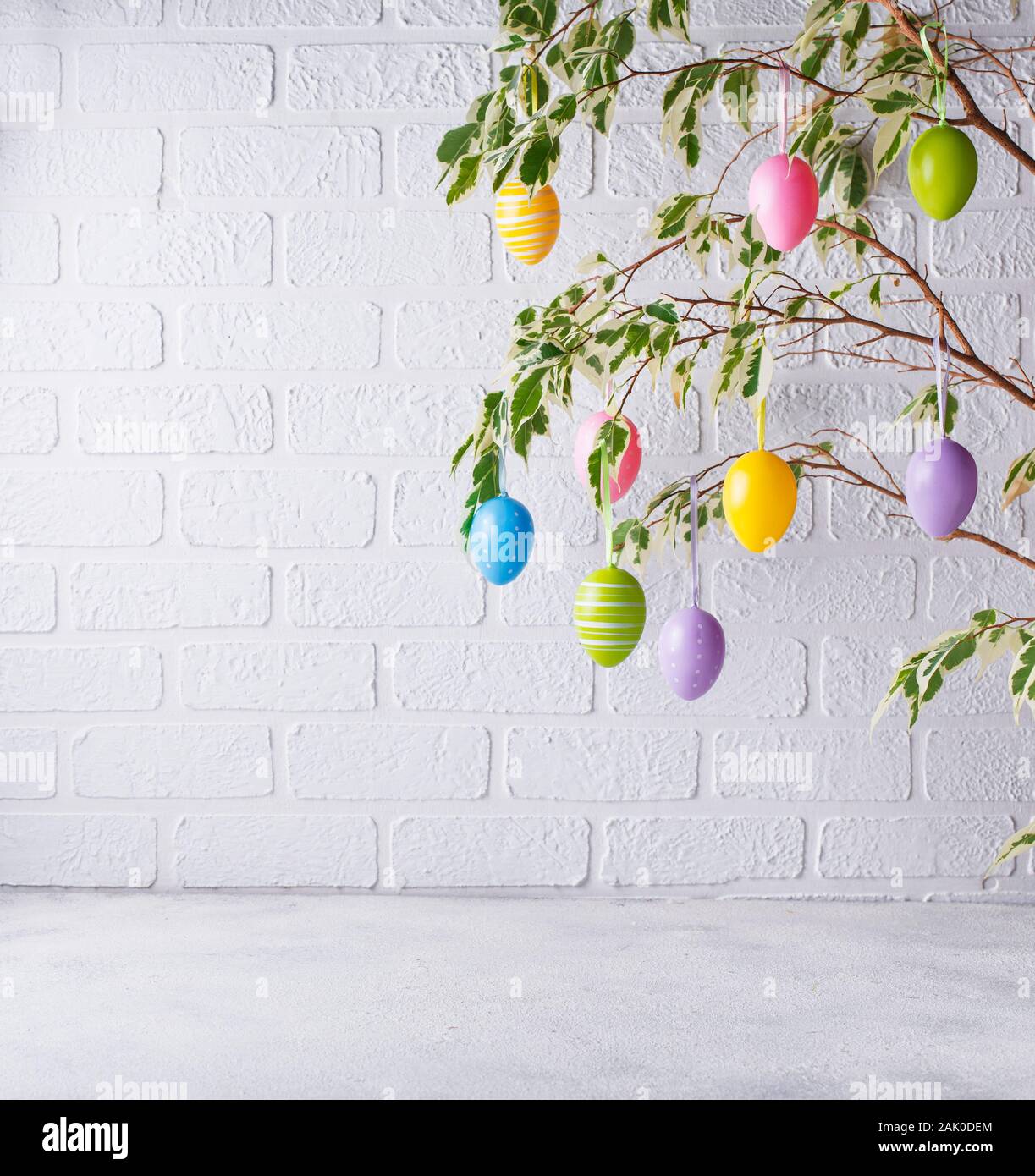 Traditional Easter tree with eggs Stock Photo - Alamy