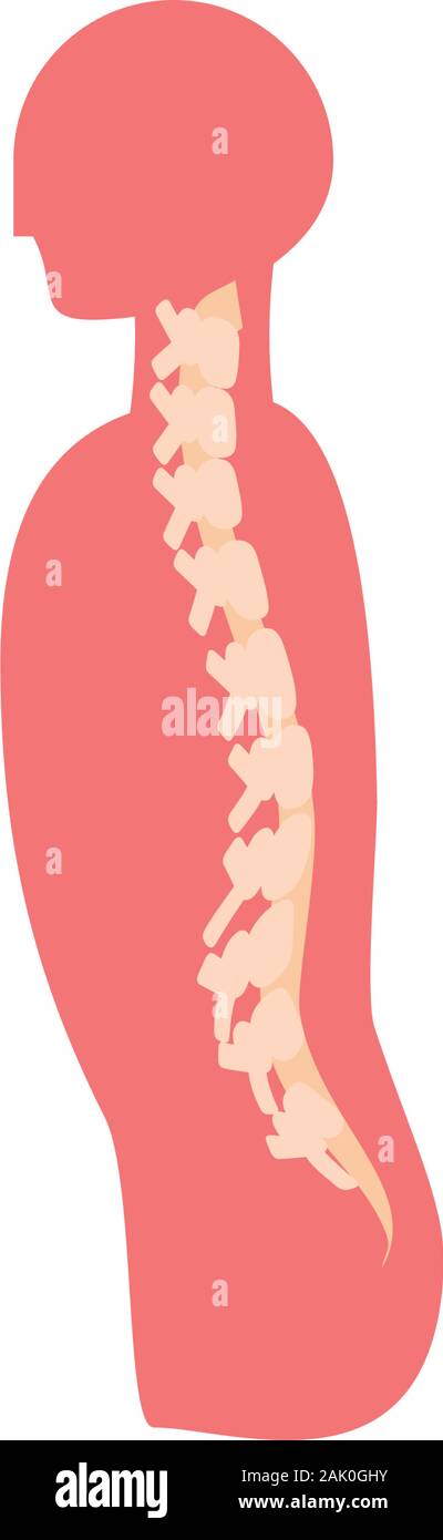 backbones icon design, Human body person people health anatomy biology ...