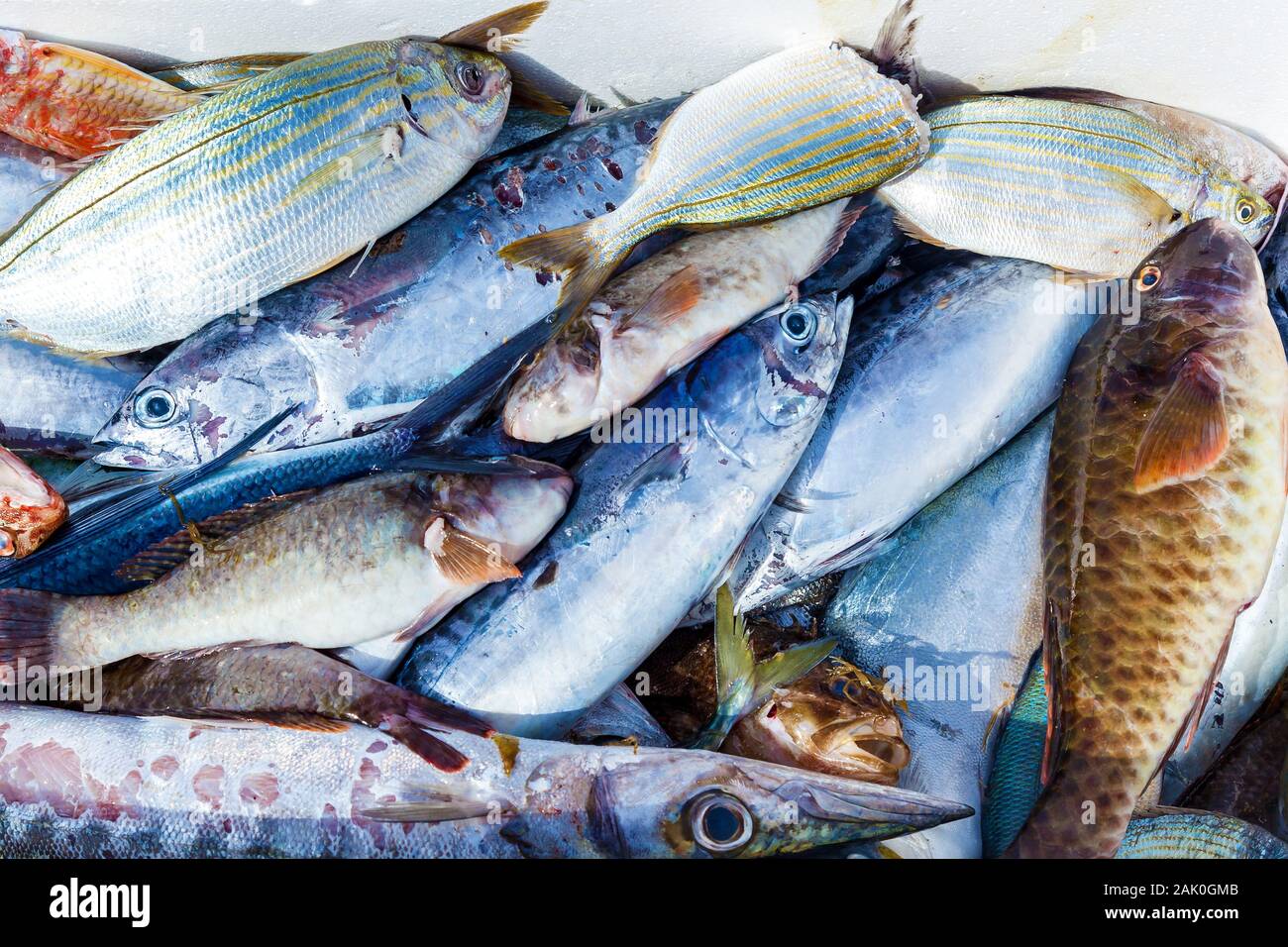 Fresh fish of different kinds from the sea lying for sale at the market ...