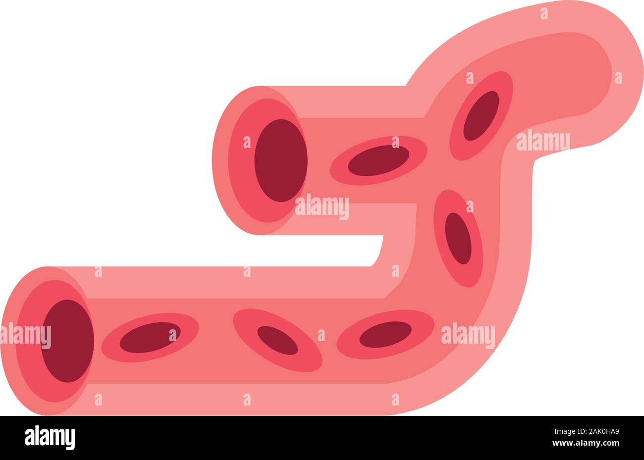 arteries icon design, Human body person people health anatomy biology ...