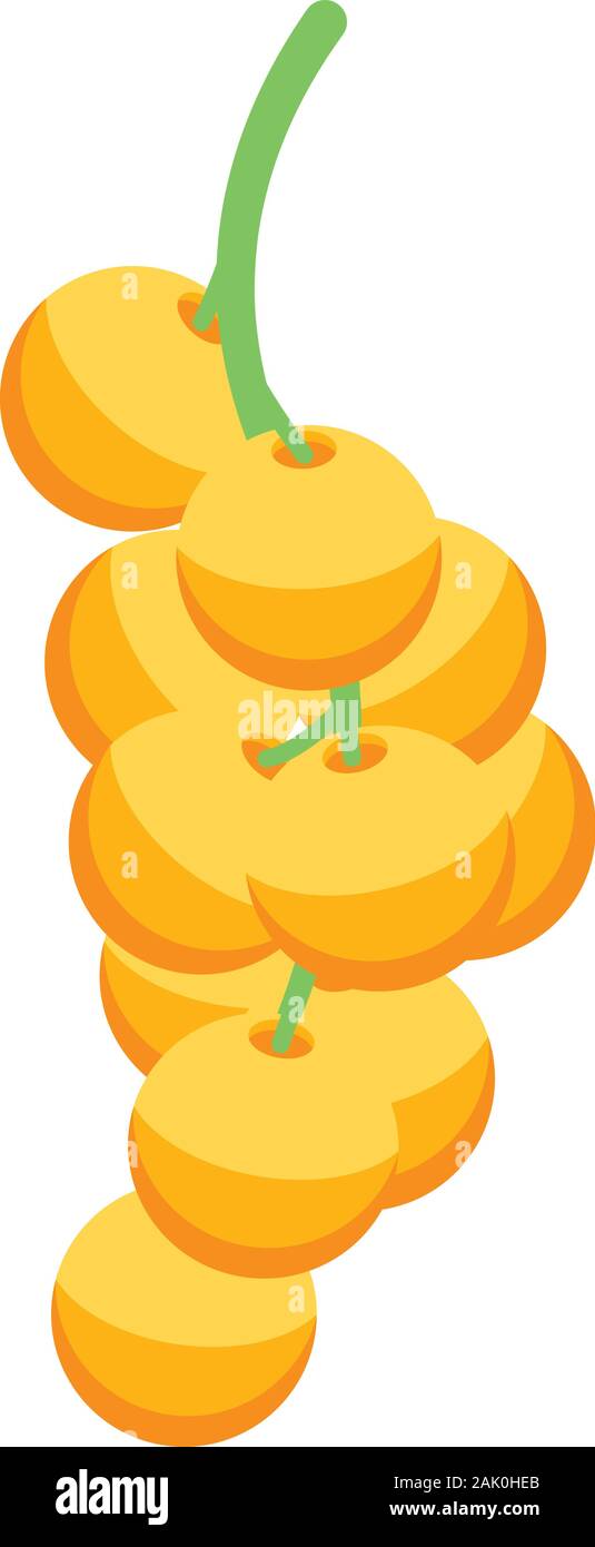 Yellow berry branch icon, isometric style Stock Vector Image & Art - Alamy
