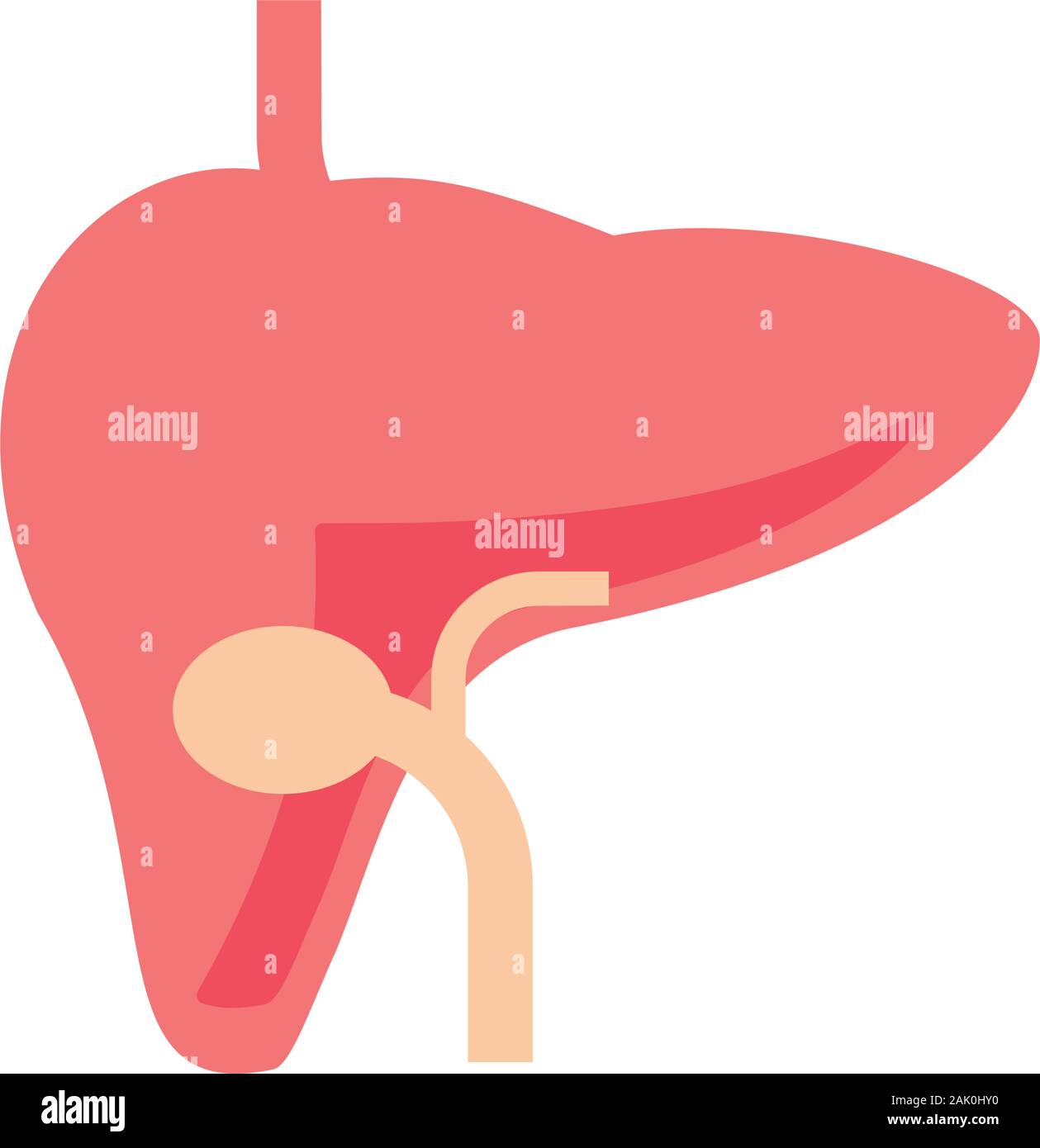 liver icon design, Human body person people health anatomy biology and ...