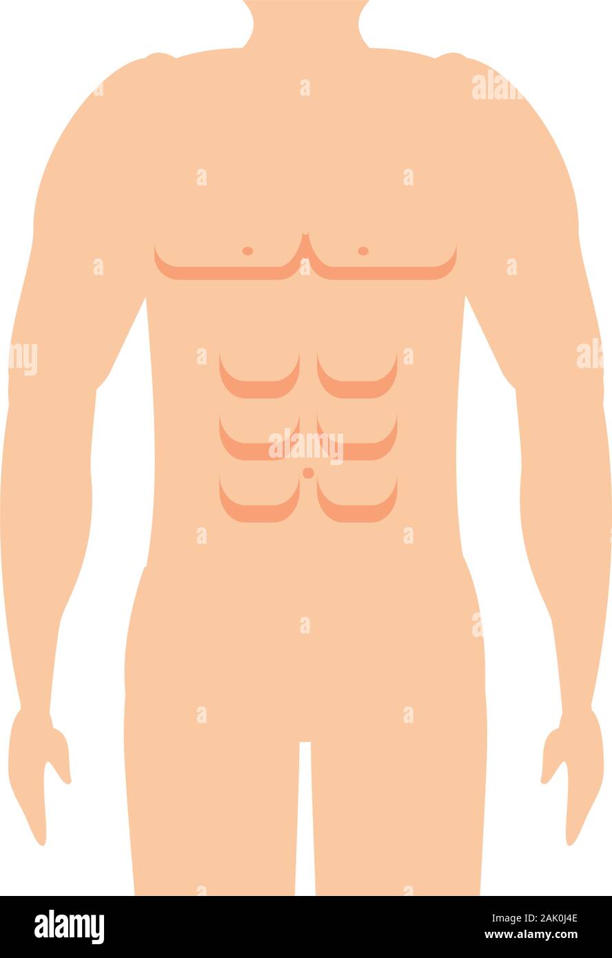 male trunk with arms icon design, Human body person people health ...