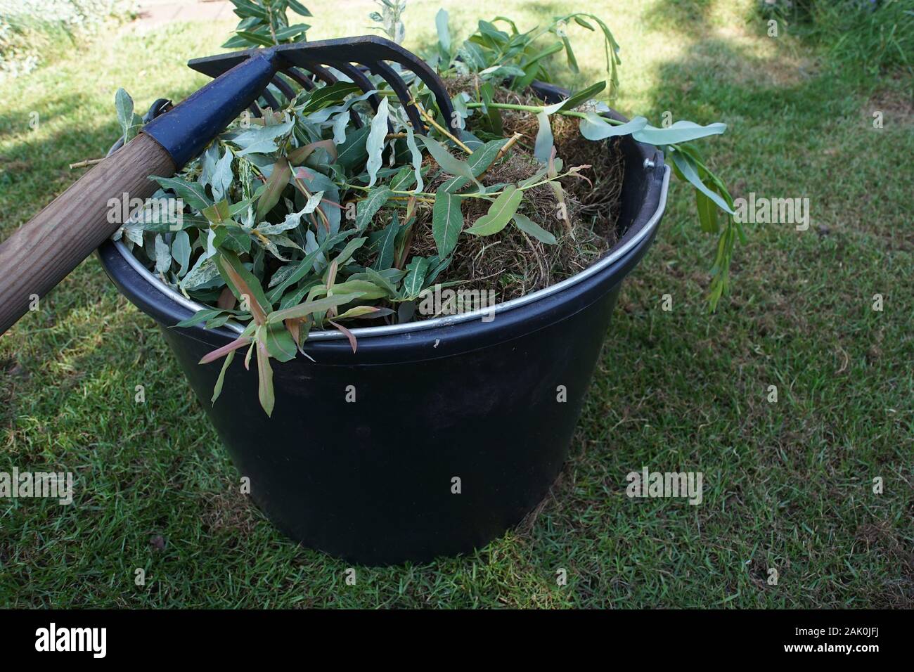 Cleaning grass hi-res stock photography and images - Alamy