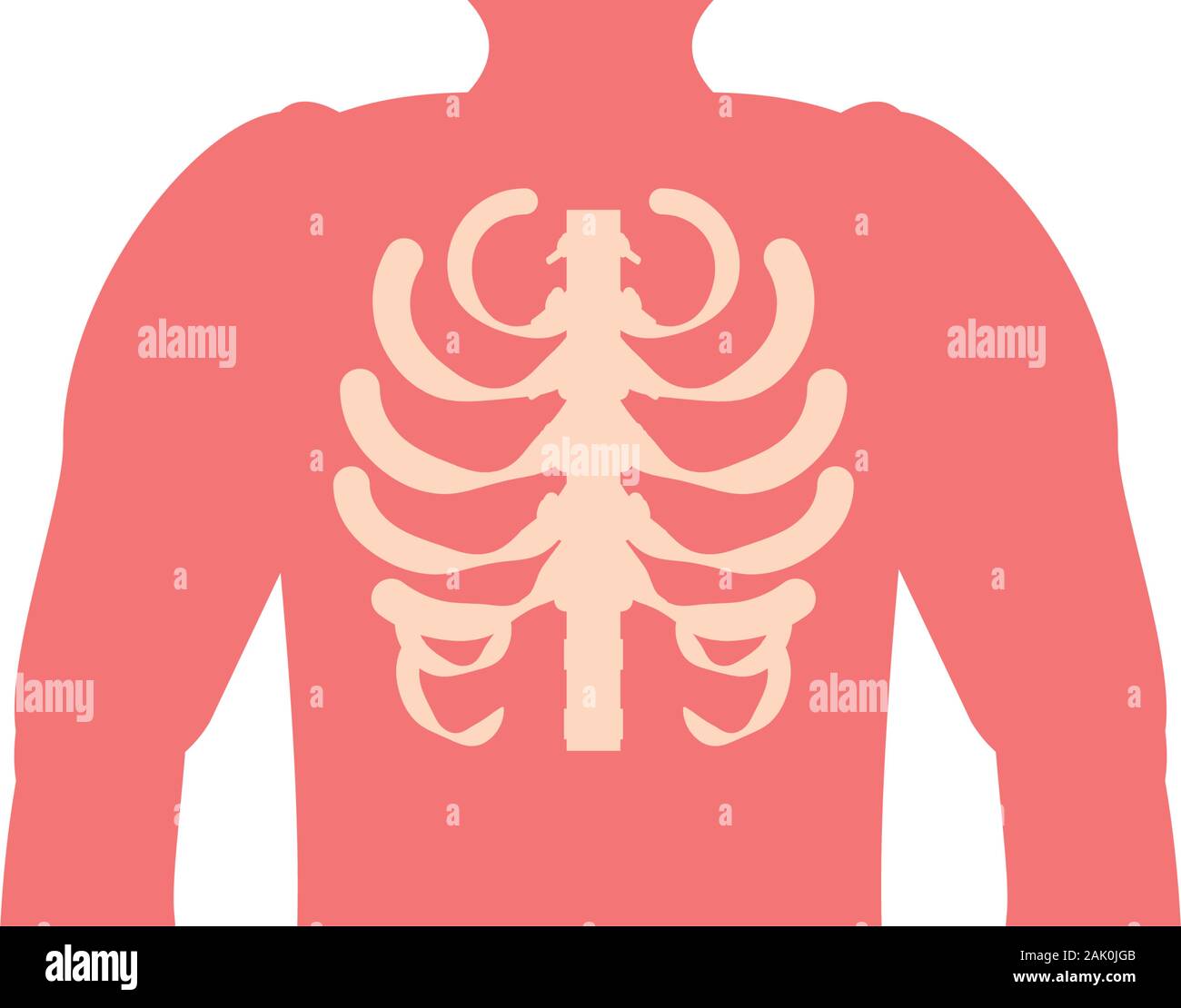 male bones icon design, Human body person people health anatomy biology ...
