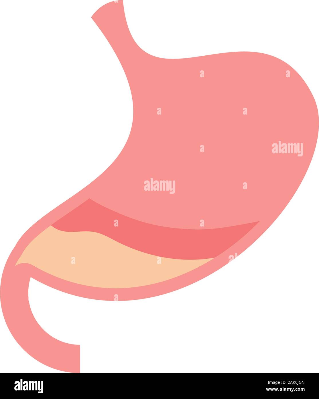 stomach icon design, Human body person people health anatomy biology ...