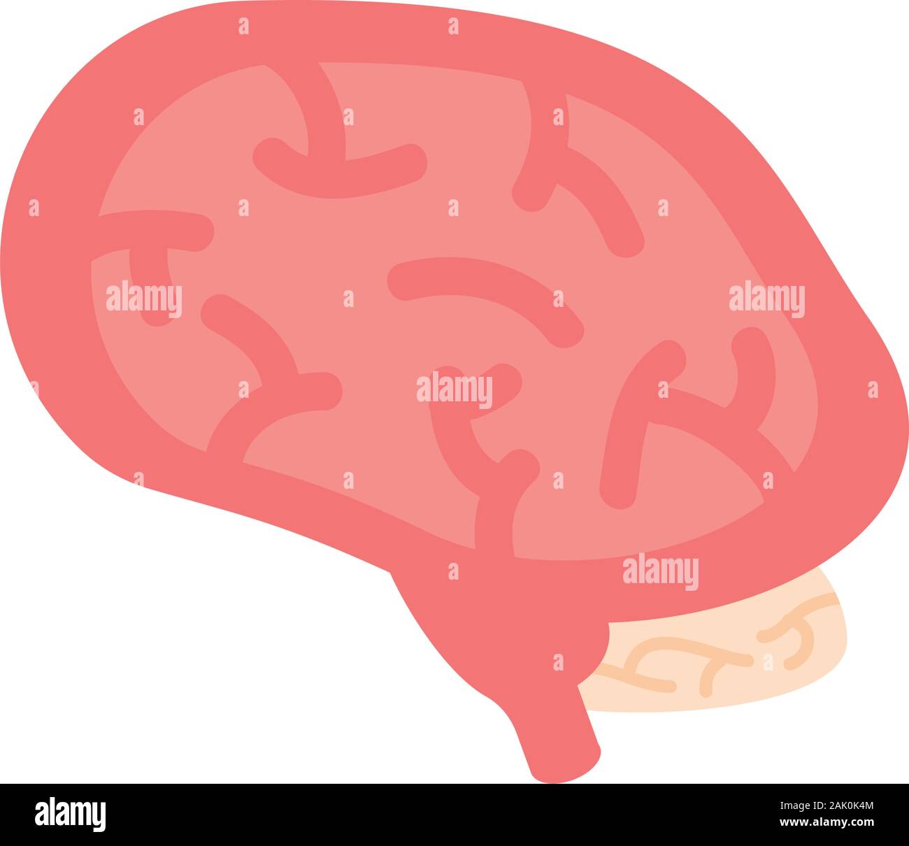 brain icon design, Human body person people health anatomy biology and ...