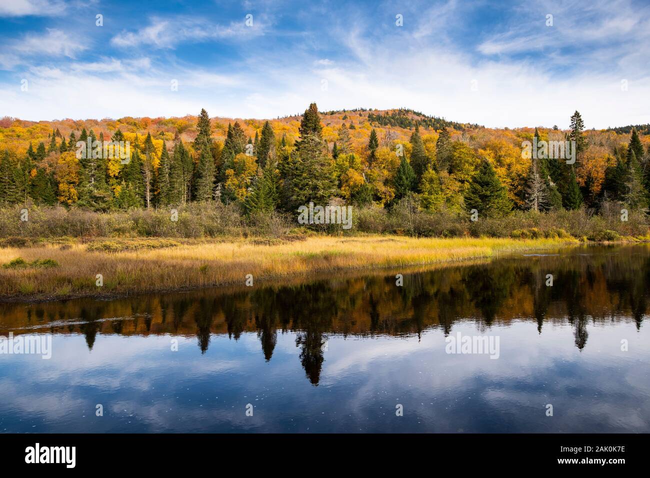 Autumn forest lake reflection landscape Stock Photo - Alamy