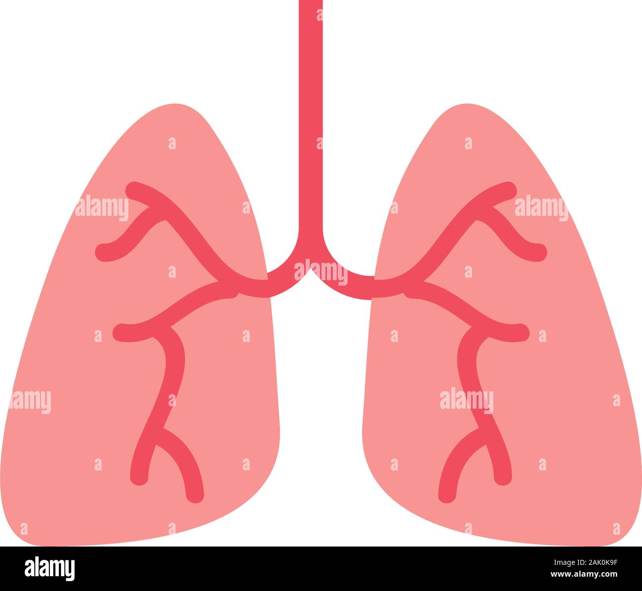 lungs icon design, Human body person people health anatomy biology and ...