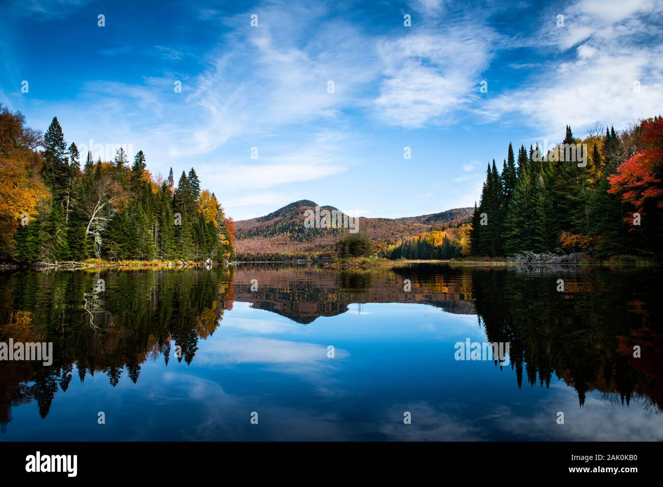 Water trees and trekking hi-res stock photography and images - Alamy