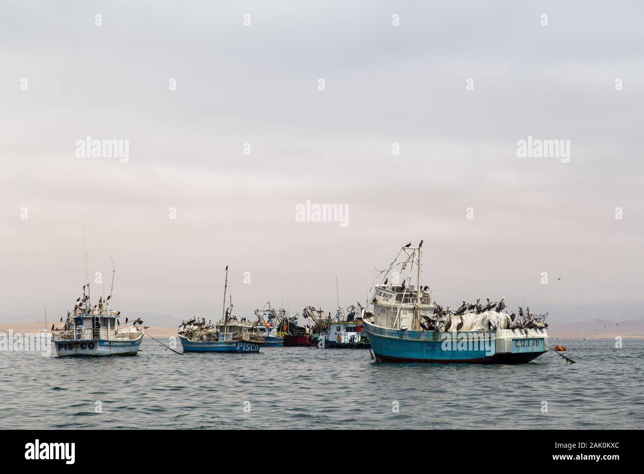 Fishing boats in Paracas, Peru Stock Photo - Alamy