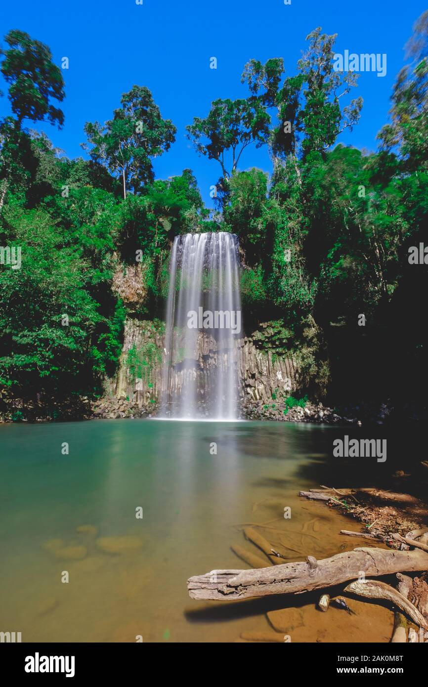 Tree trees australia waterfall hi-res stock photography and images - Alamy