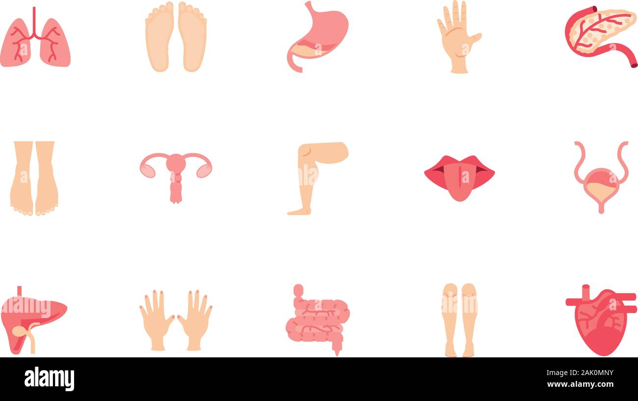 icon set design, Human body person people health anatomy biology and ...