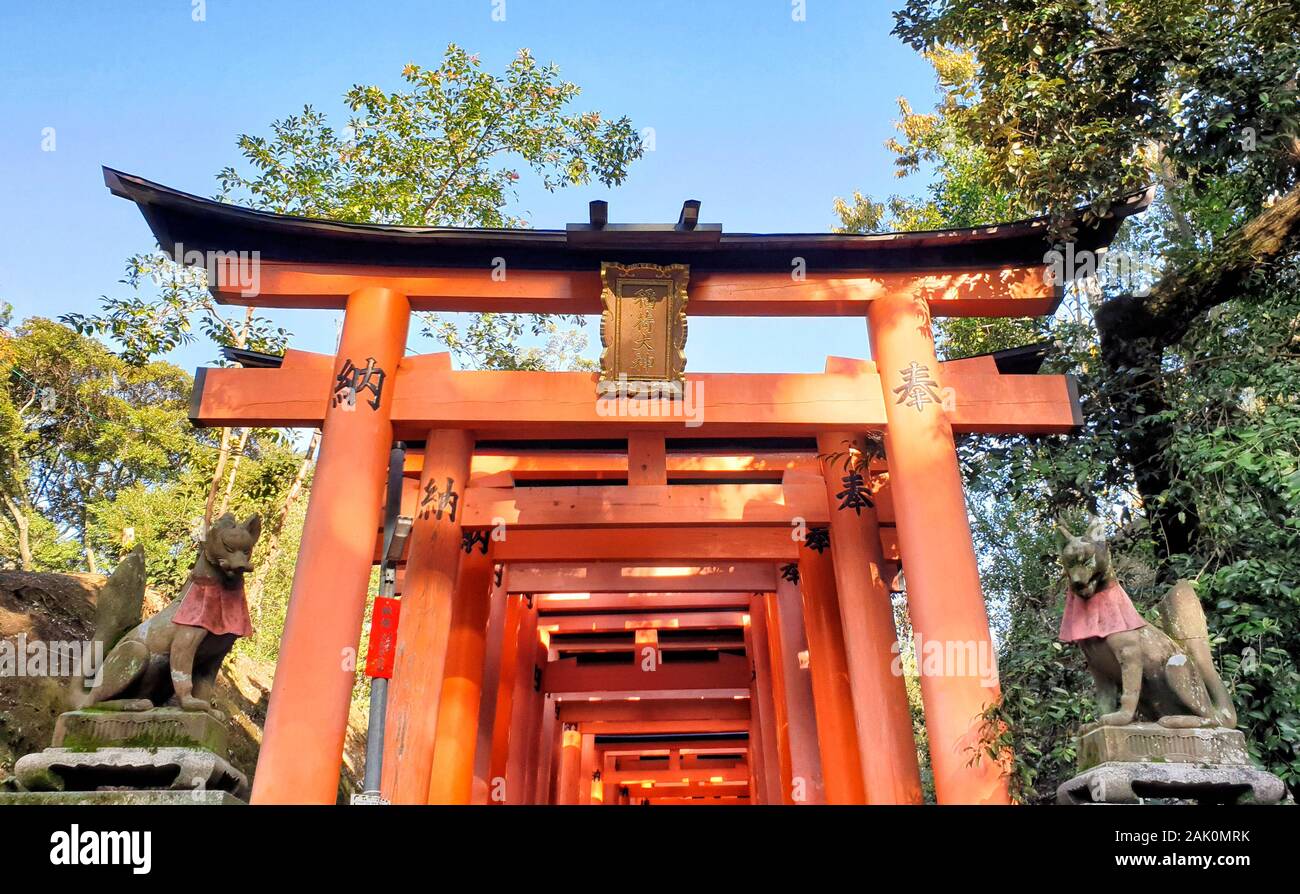 Fushimi Inari Torii at Fushimi-ku, Kyoto, Japan Stock Photo - Alamy