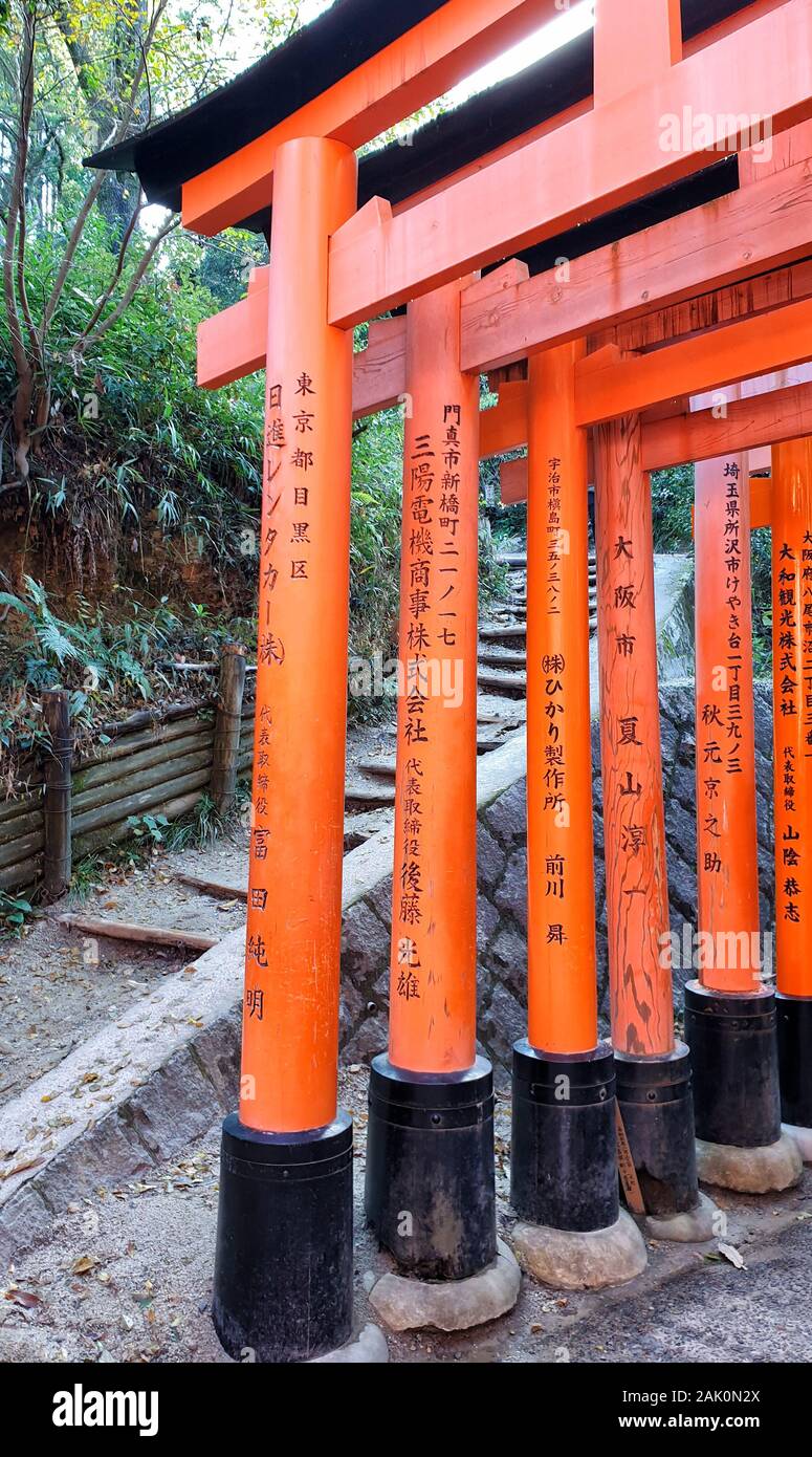 Fushimi Inari Torii at Fushimi-ku, Kyoto, Japan Stock Photo - Alamy
