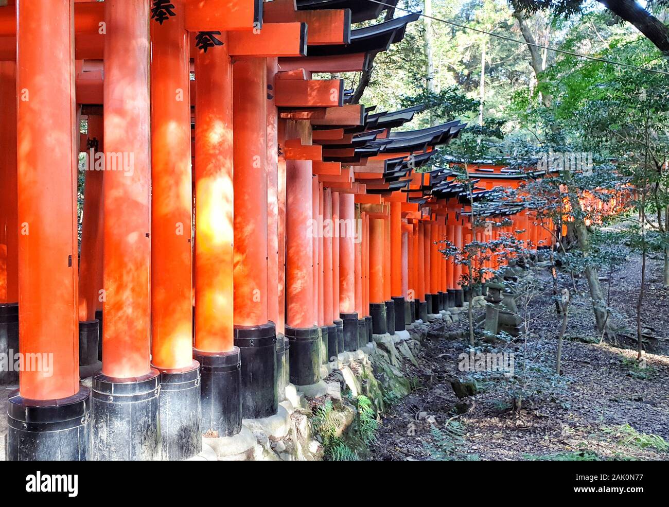 Fushimi Inari Torii at Fushimi-ku, Kyoto, Japan Stock Photo - Alamy