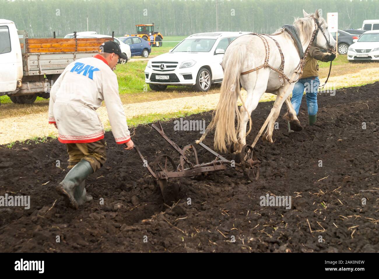 Draught horse pulles plough through field Stock Photo - Alamy