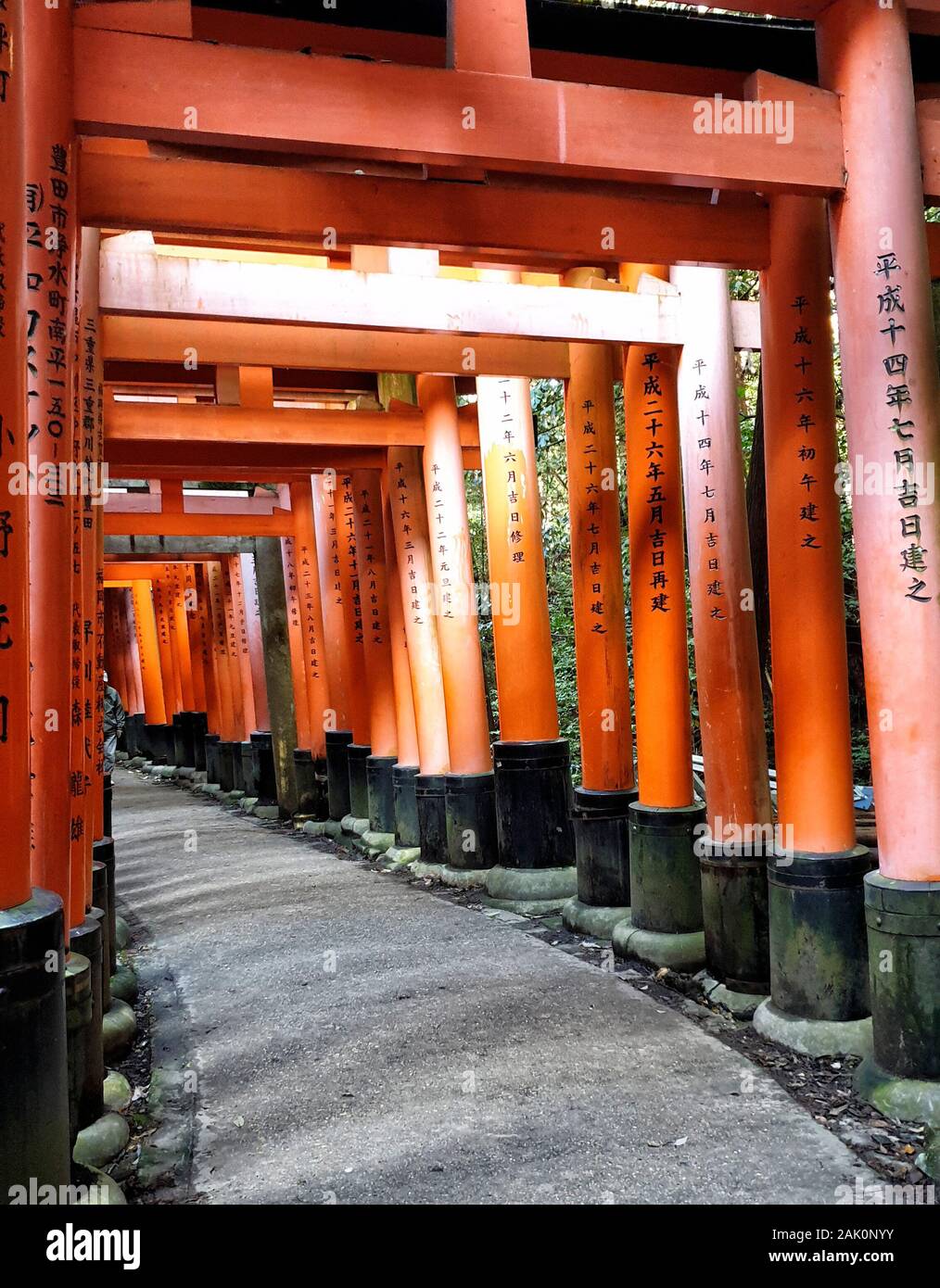 Fushimi Inari Torii at Fushimi-ku, Kyoto, Japan Stock Photo - Alamy