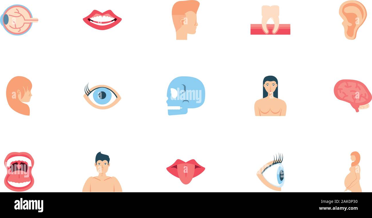 icon set design, Human body person people health anatomy biology and ...
