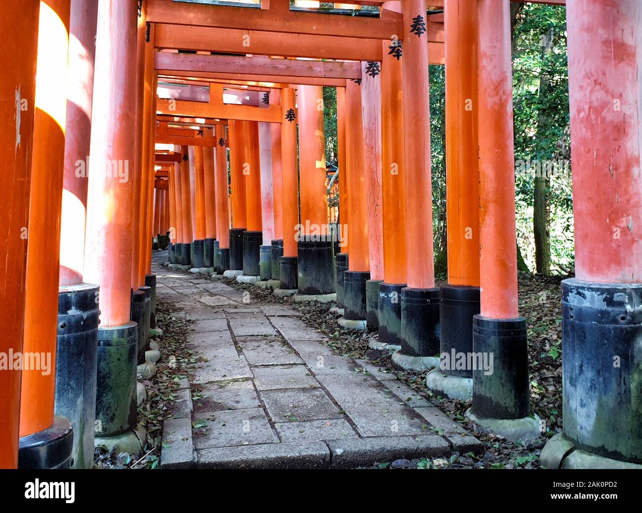 Fushimi Inari Torii at Fushimi-ku, Kyoto, Japan Stock Photo - Alamy