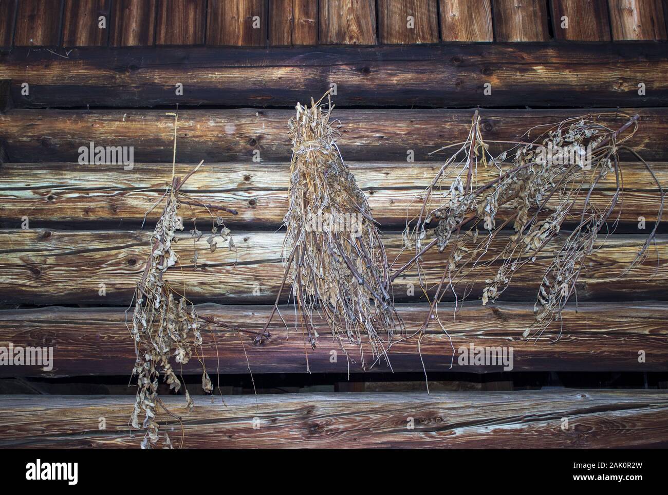 Hanging log hi-res stock photography and images - Alamy