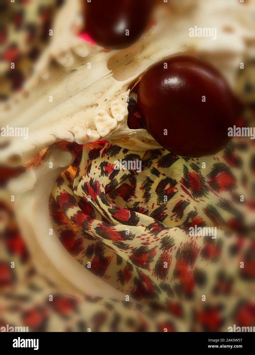 Still-life of skull, bones, alluding to death and other nefarious deeds ...